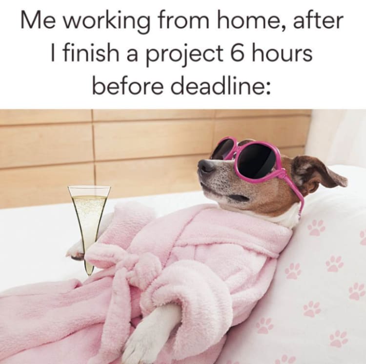 32 Funny Teamwork Memes to Boost Morale in Your Virtual Office